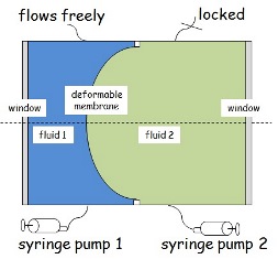 Variable Focus Lens with a large Aperture / 大口径可变焦透镜 – Dynamic Image ...